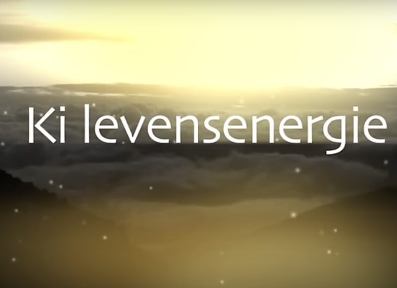 Ki Online - Ki Centrum